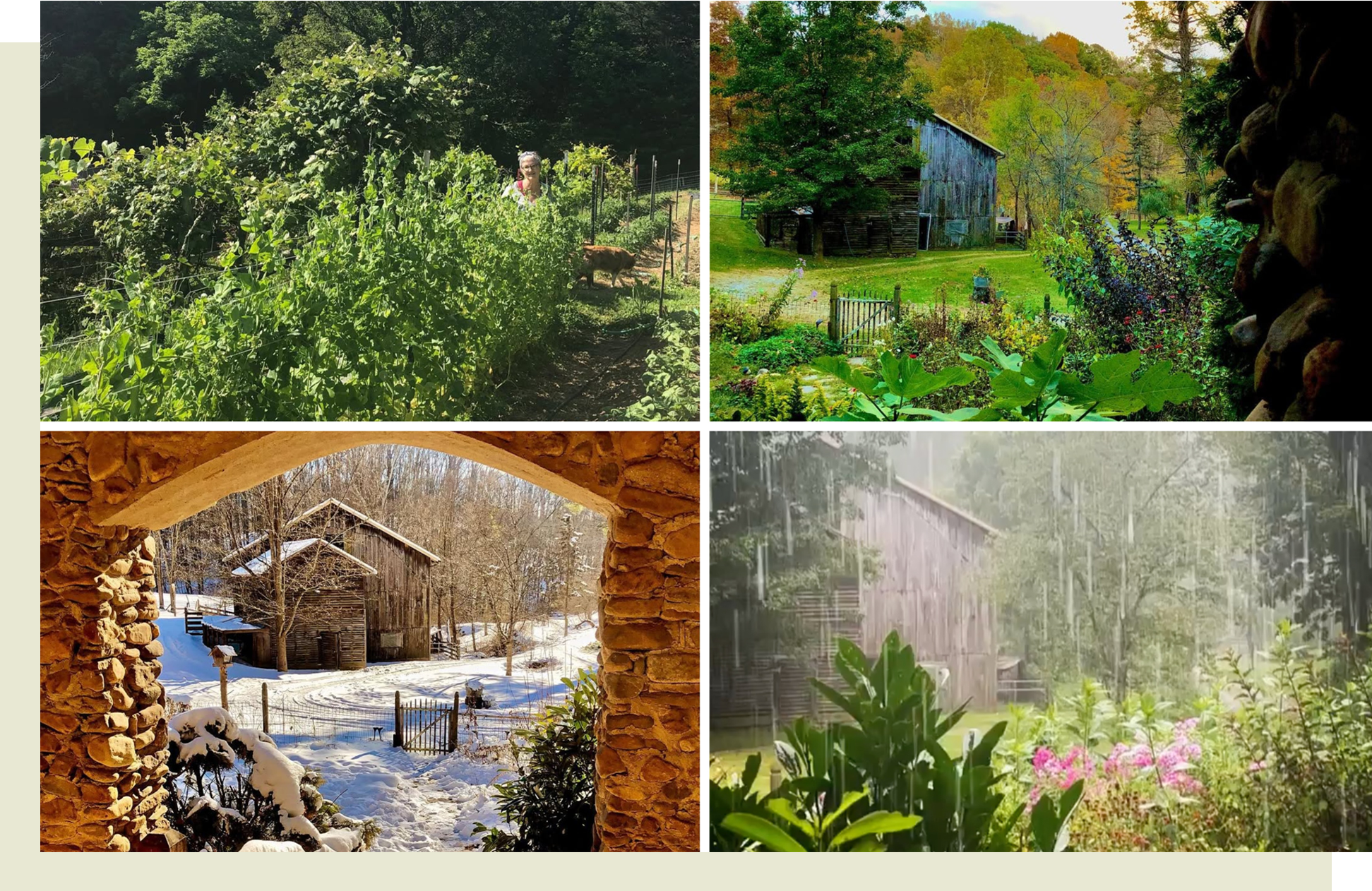 How Dreamy Is Barbara Kingsolver's Appalachian Garden?