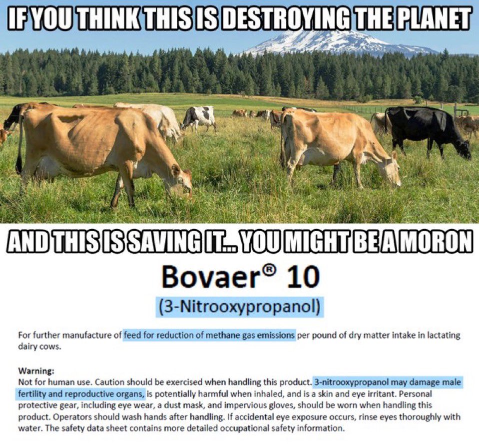 Bovaer - Lies are Unbekoming