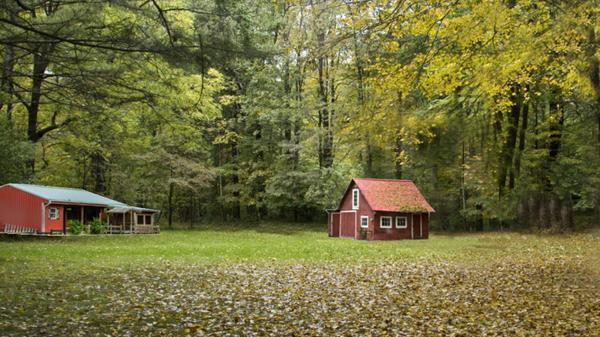 What Is Relative Size and Why Does It Matter?