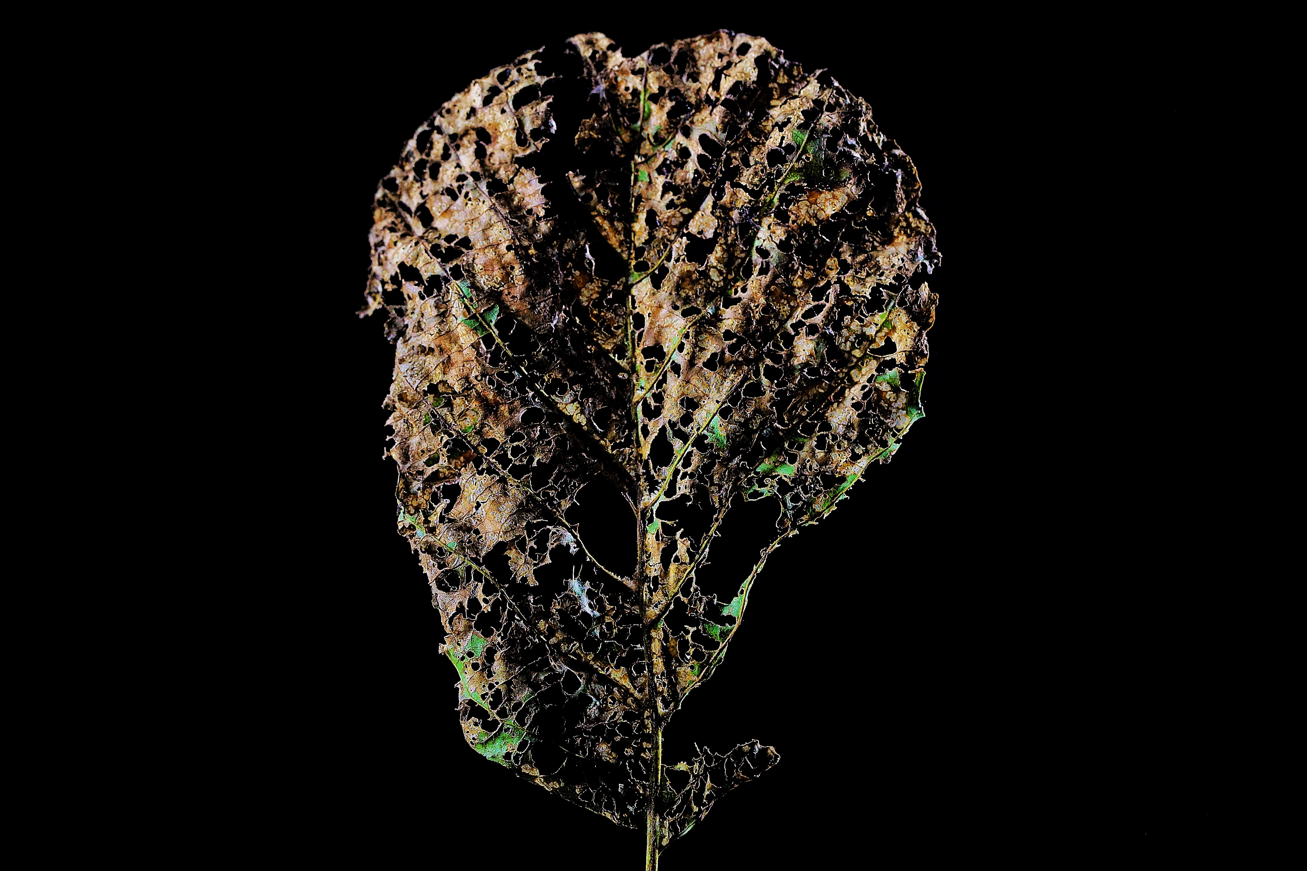 SAW - smoldering-MS-associated worsening