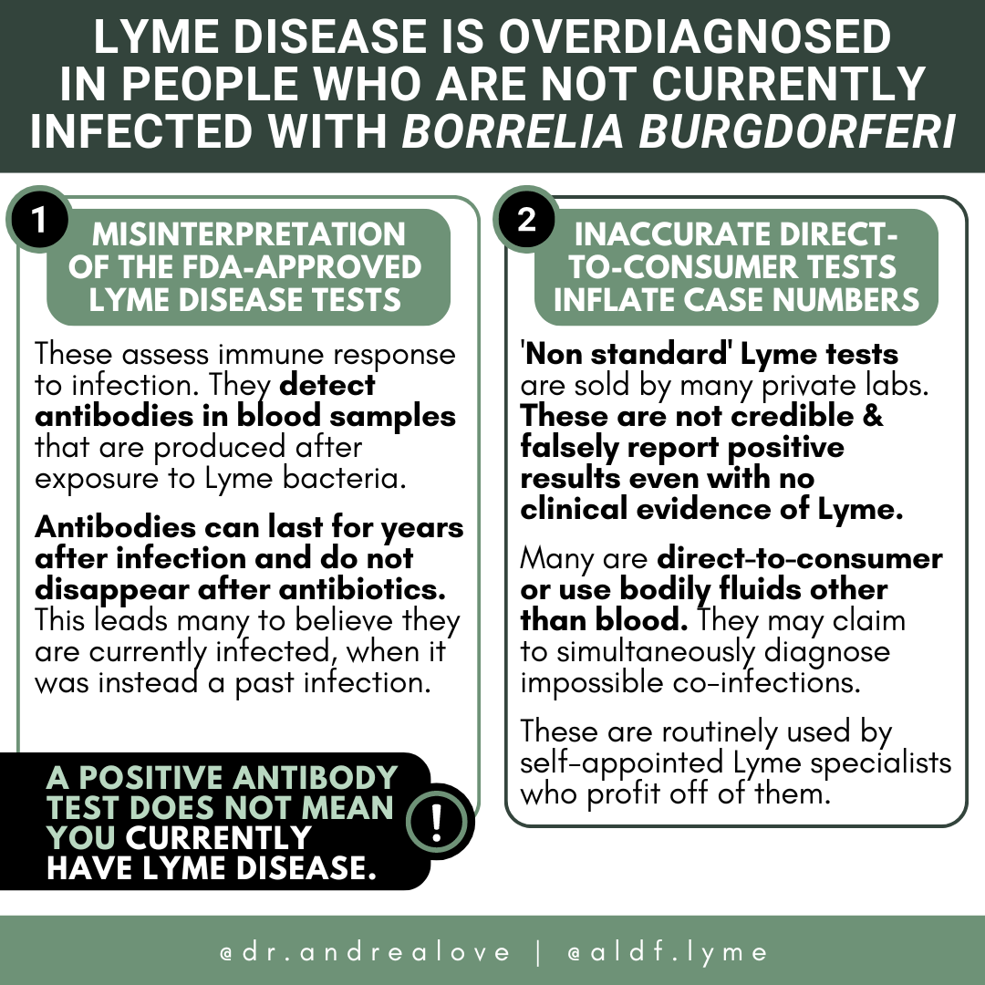 Lyme Disease: fraudulent tests are rampant