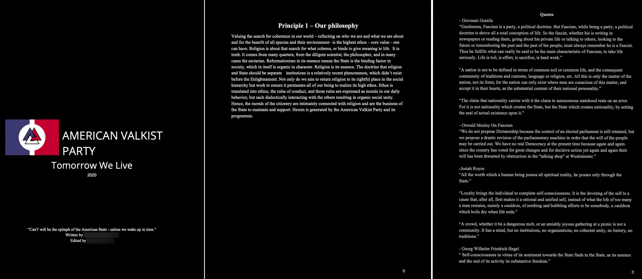 Sam Stewart: The Rise and Fall of the American Valkist Party