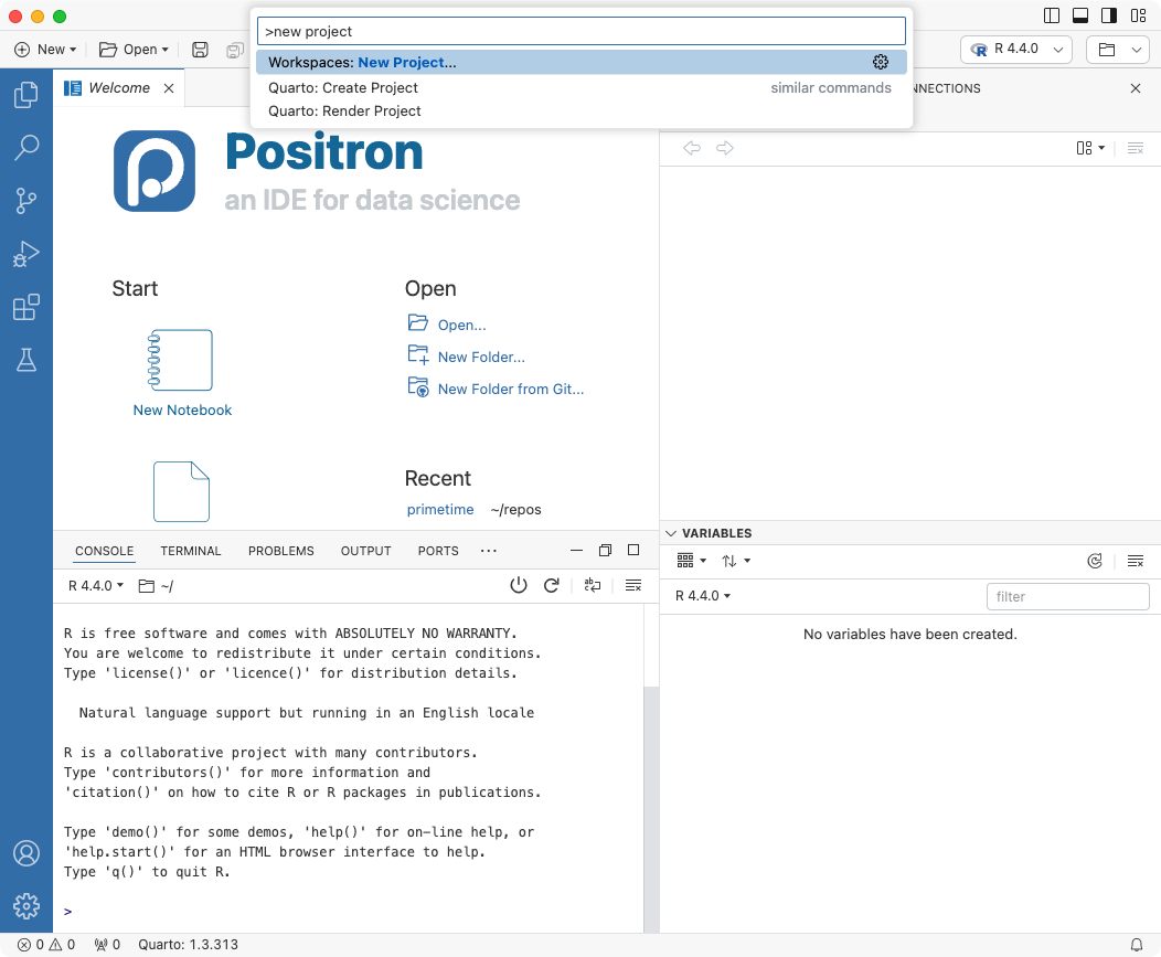 R package development in Positron - by Stephen D. Turner