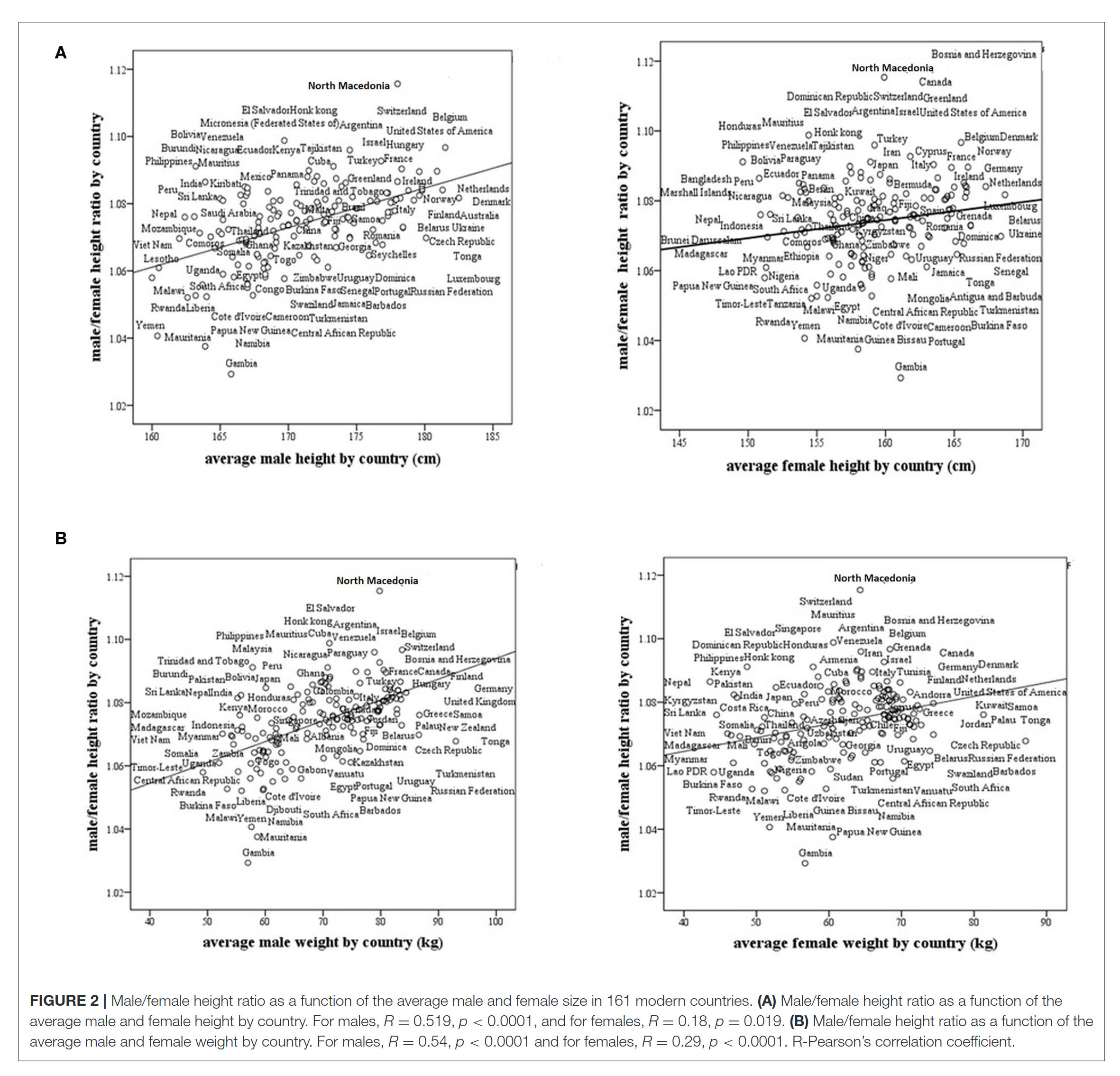 The gender equality 'paradox' and genetics
