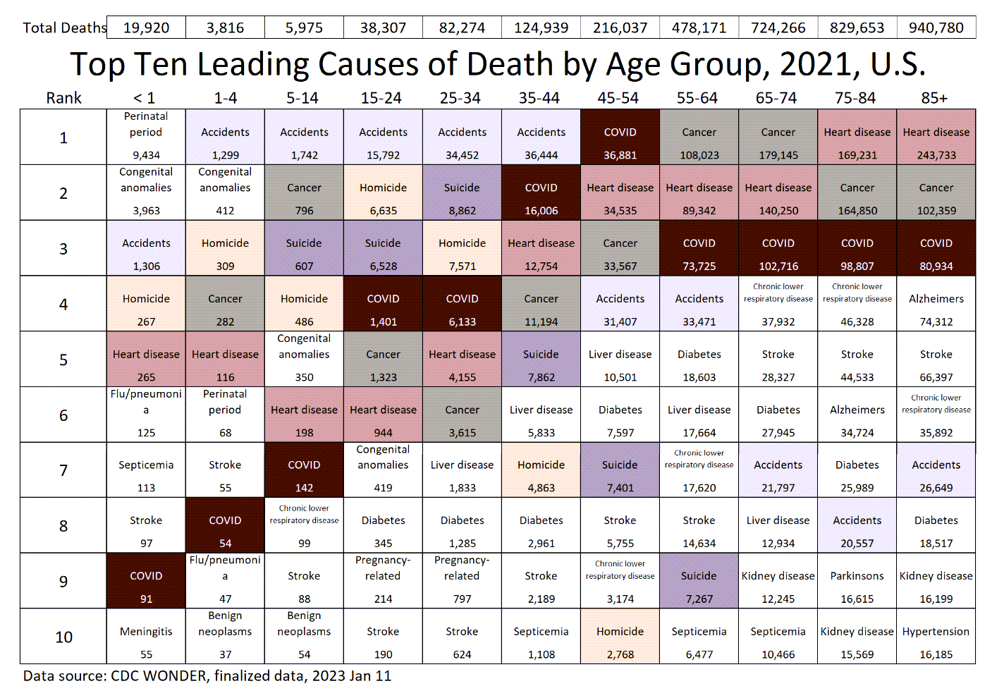 Top Causes of Death by Age Group, 2021: Finalized U.S. Stats