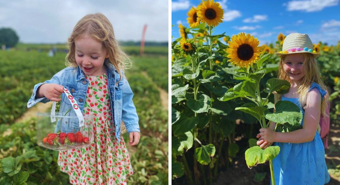 The best Nottingham days out with the kids