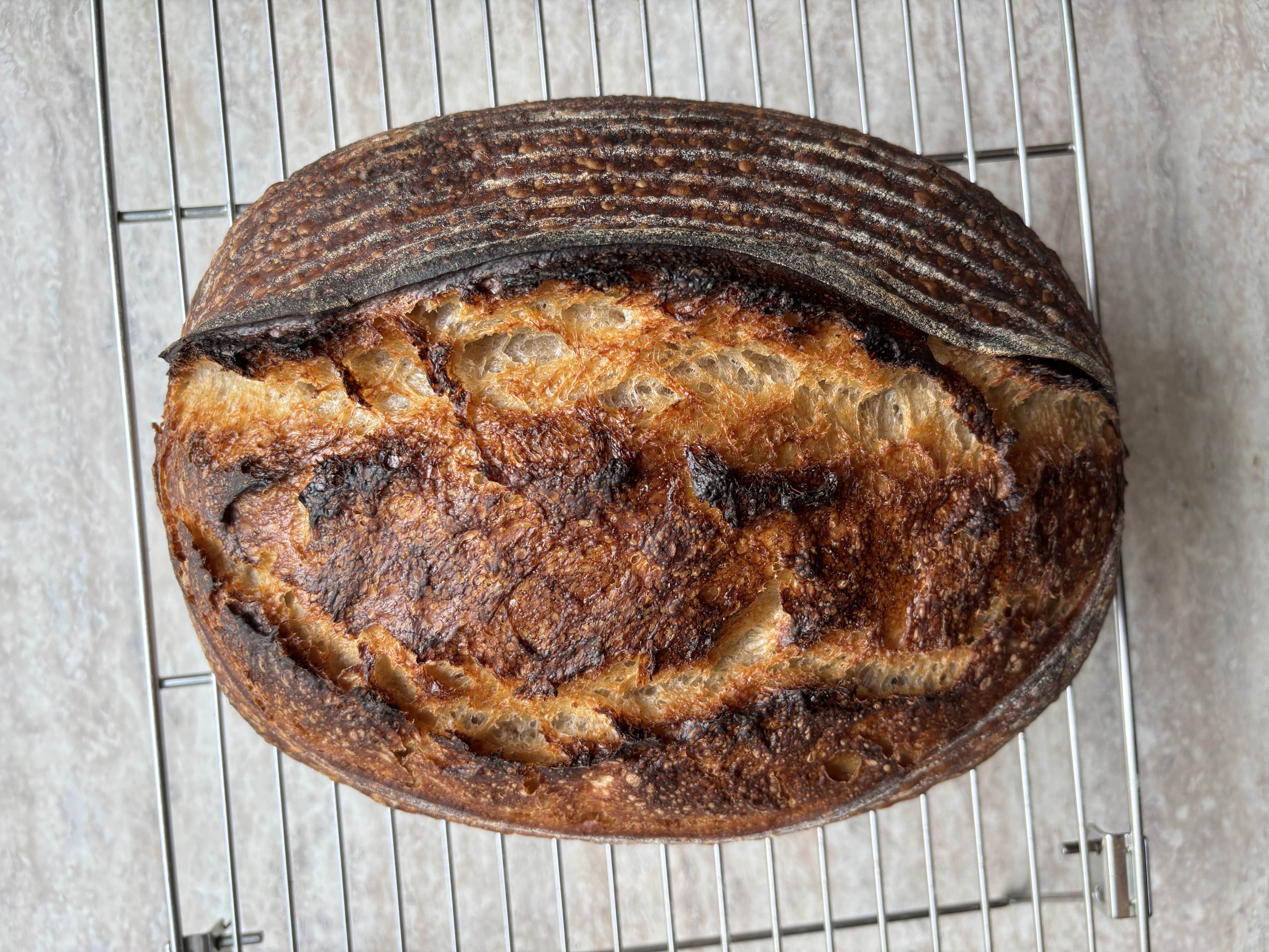 Sourdough Country Loaf - by Emilie Garnes