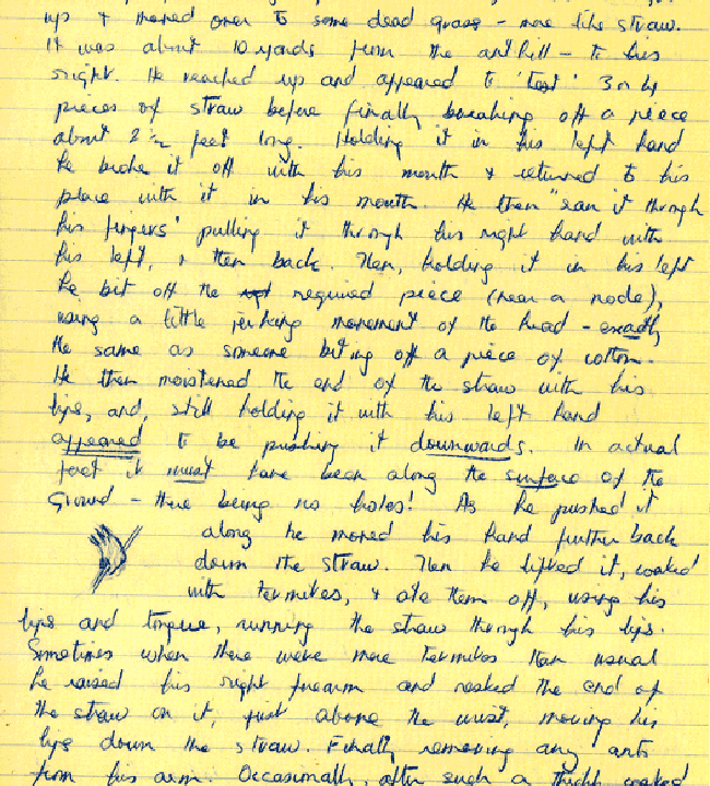 P.S. Jane Goodall's Chimpanzee Notes - by Jillian Hess