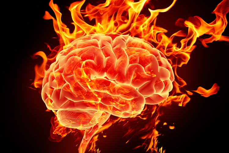 The Neuroscience Behind Sunlight's Benefits: A Ray of Hope for Mental ...