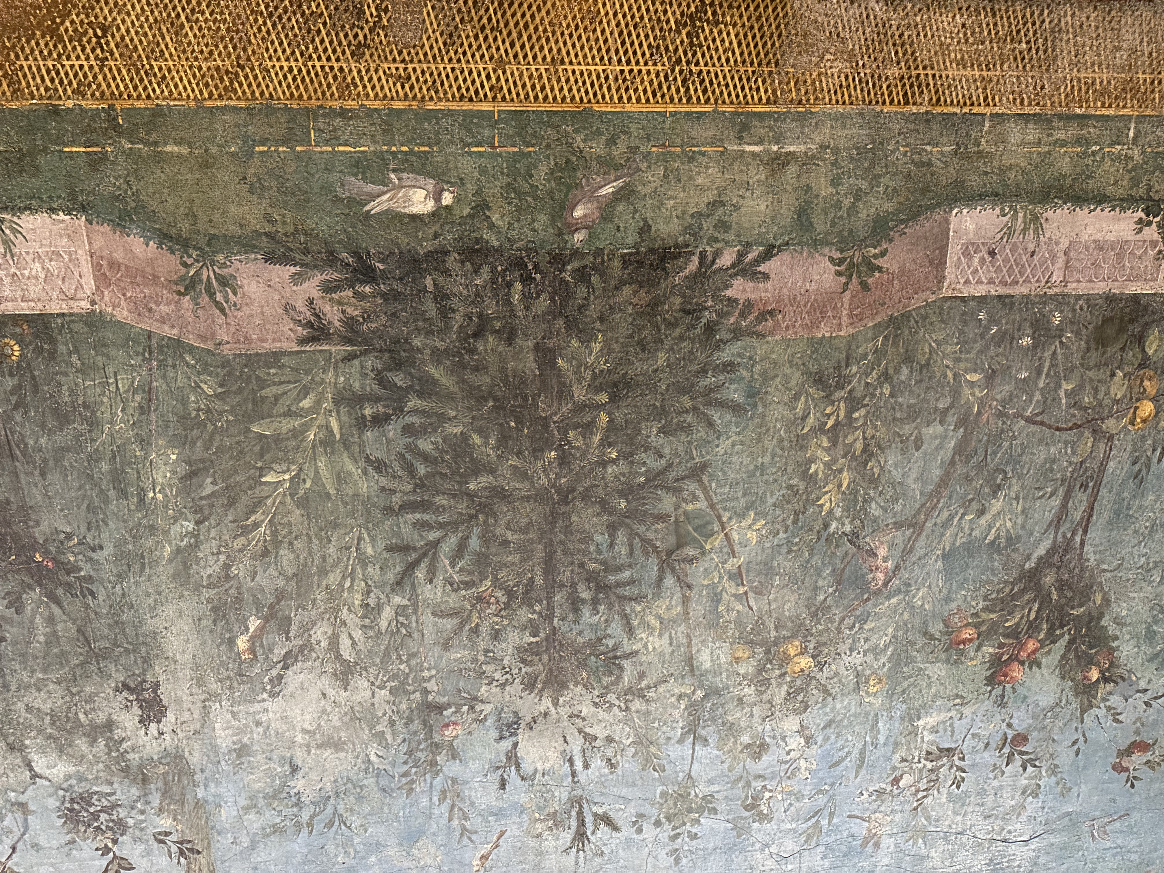 Paradise Regained: The Painted Garden of Livia at Palazzo Massimo alle ...