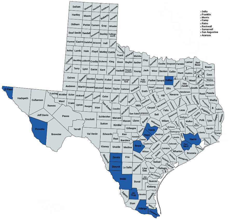 Which Texas Counties Should We Expect To Be Blue In November?