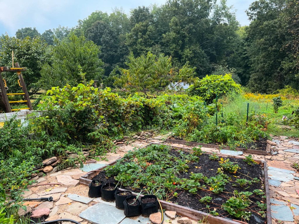 How to Use Different Garden Methods to Improve your Gardening