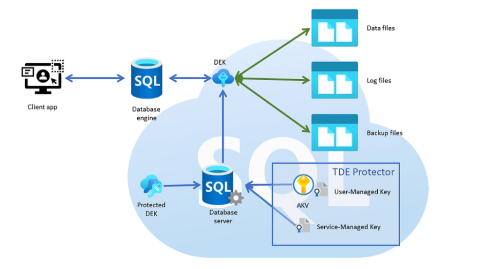 Transparent Data Encryption (TDE): Protecting Sensitive Data in Databases
