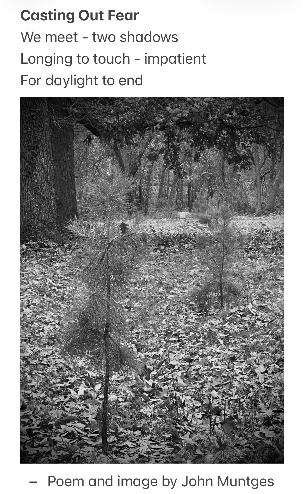 Casting Out Fear - John Muntges