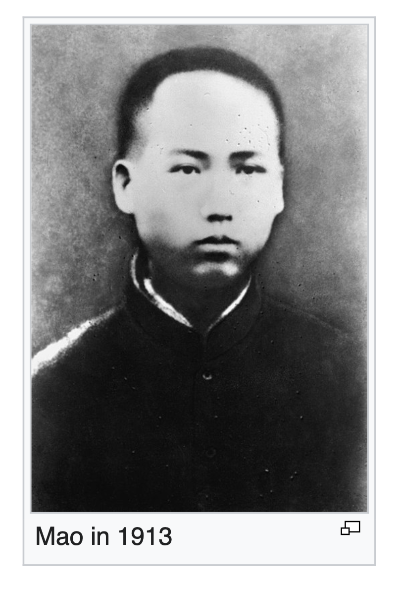 Mao Zedong's Rise and Use of Power, Explained