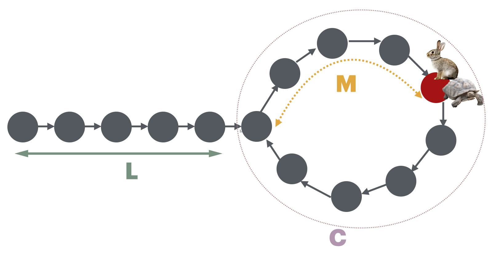 Why the Tortoise and the Hare Algorithm Works