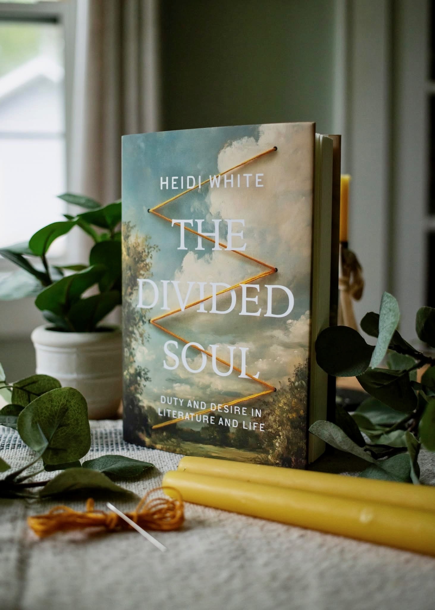 Book Release: The Divided Soul - Heidi White
