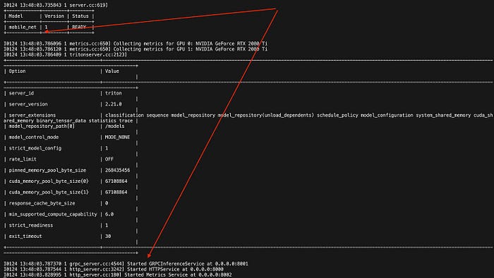 NVIDIA Triton Inference Server made simple.