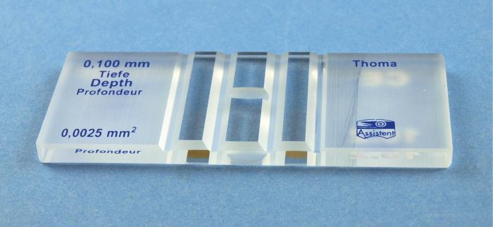 Le comptage cellulaire - by Louise - CultureBio