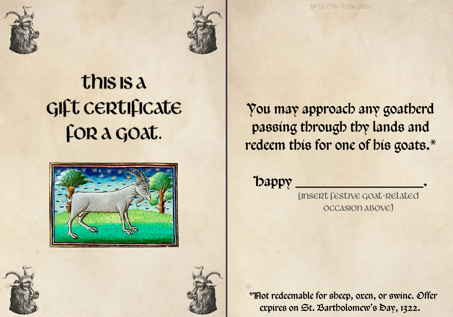 Medieval Greeting Cards - by Jan Lionsnest