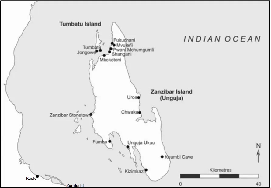A history of Zanzibar before the Omanis (600-1873)