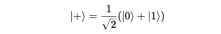 A Lesson On Pauli Matrices As Quantum Gates