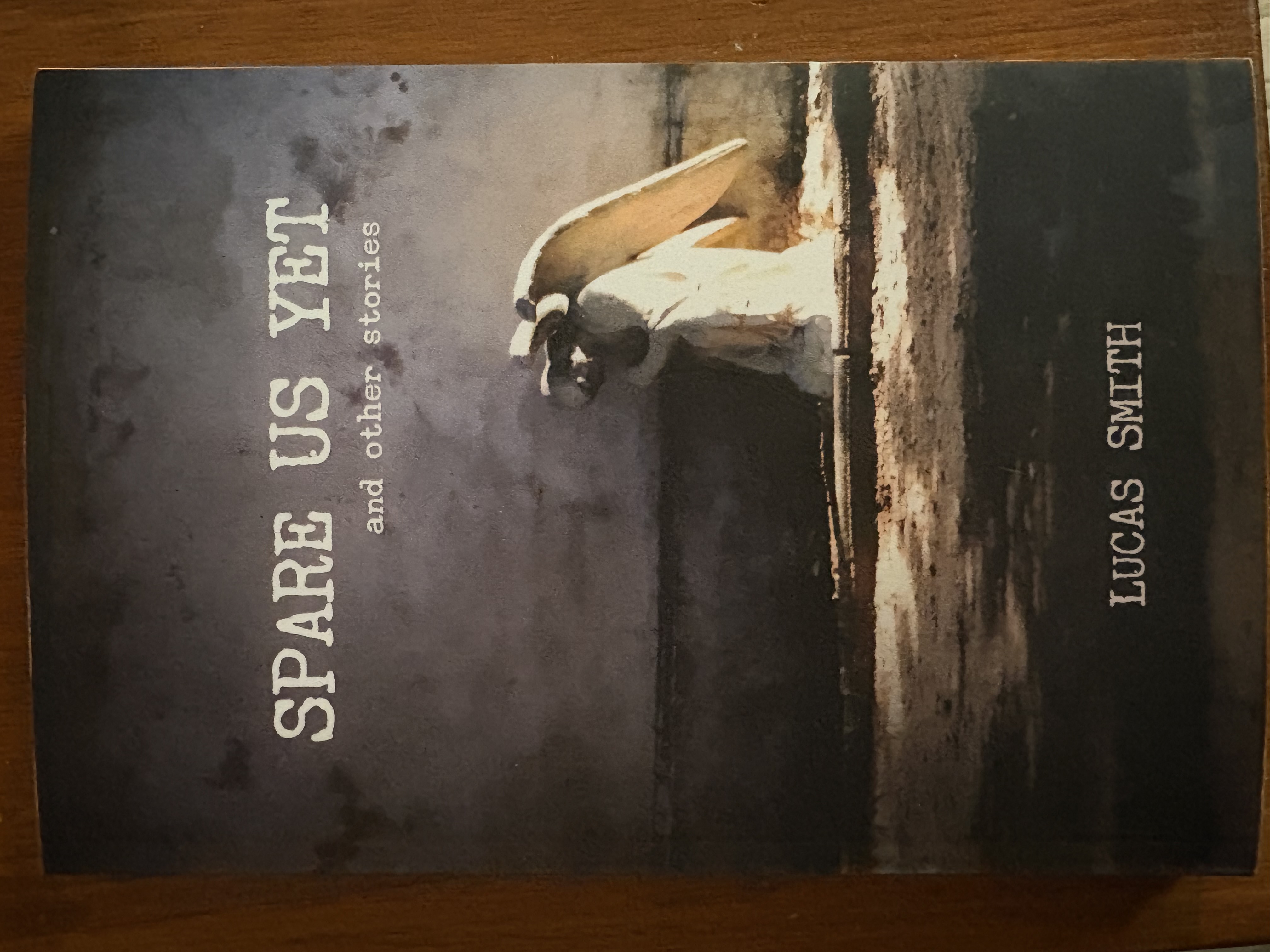 Caleb Caudell on Substack: "My publisher and editor @Lucas Smith at ...