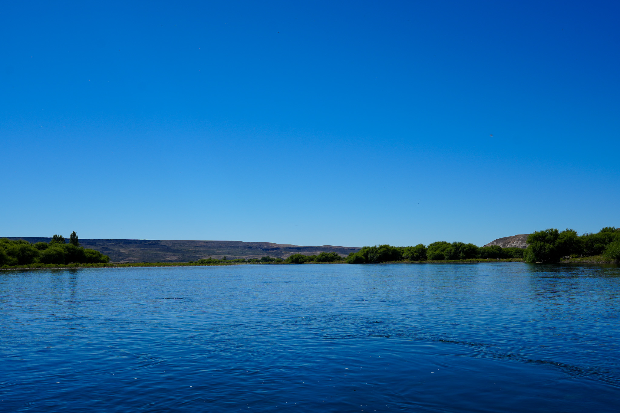 Patagonia on a Summer's Day - by Michael Williams