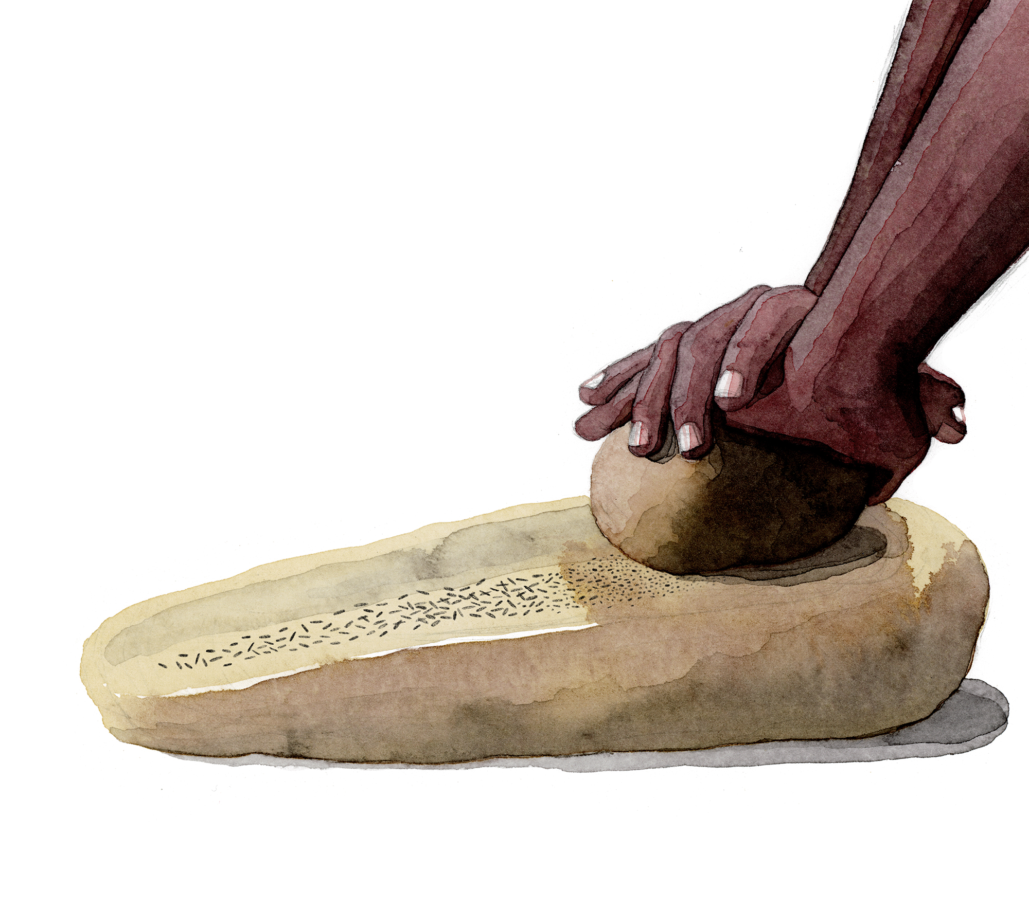 The World's Oldest Grinding Stone