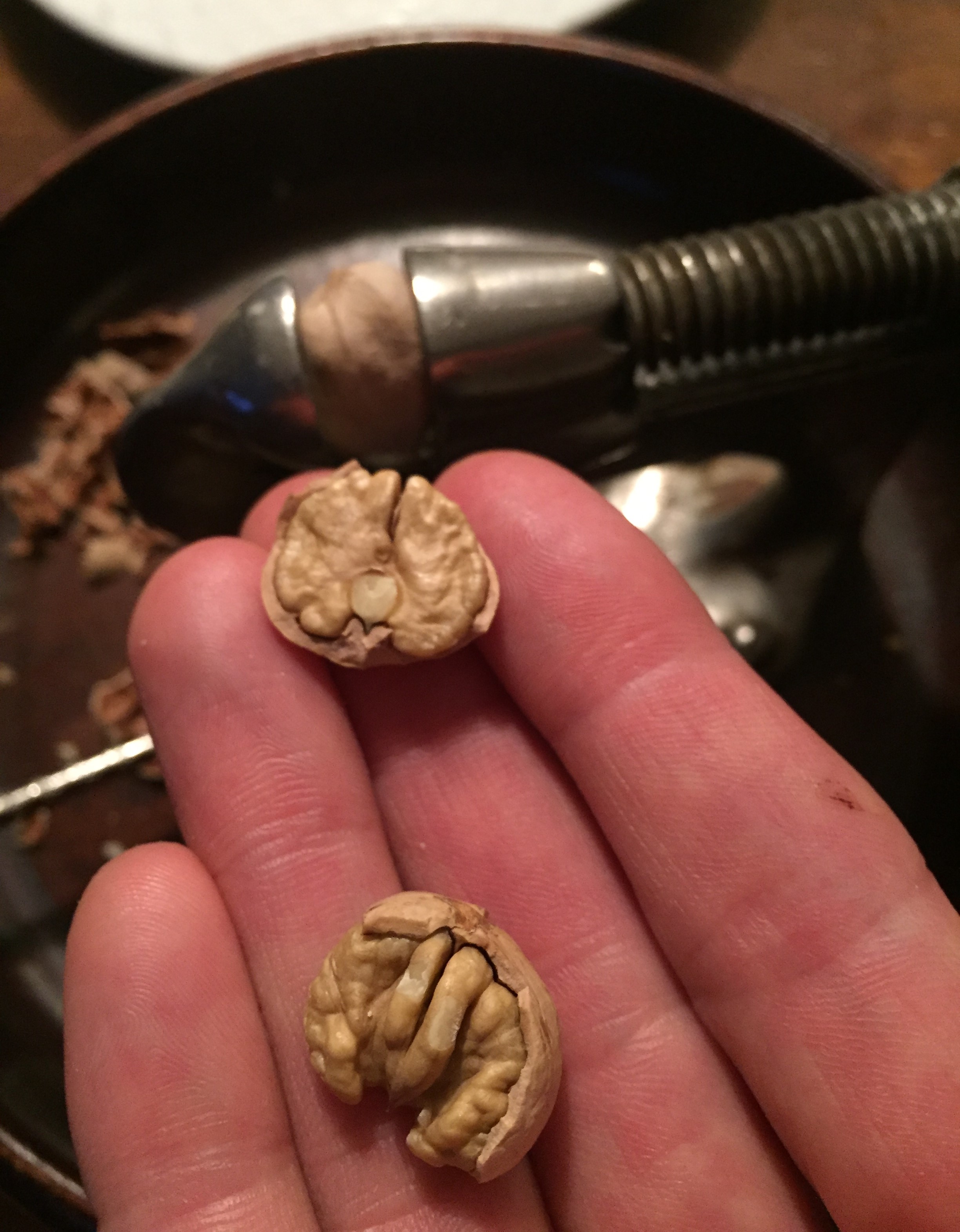 Gavin Mounsey on Substack: "I am loving this family heirloom nut ...