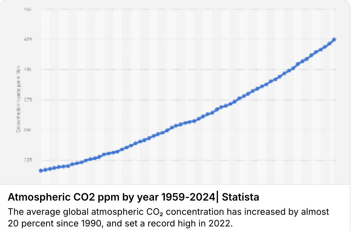 Why would New Zealand disestablish the Ministry of Environment?