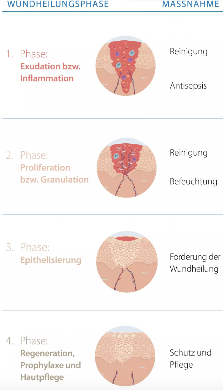 Wundbeschreibung in der Dermatologie – Ein Überblick