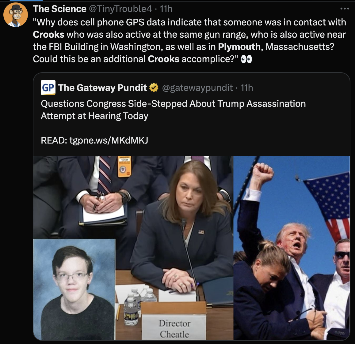 Was Thomas Crooks Was Wrongfully Murdered? - by George Webb