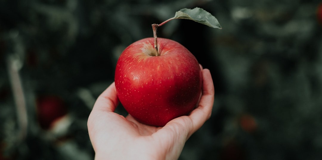 Demystifying cases – the key to unlocking meaning