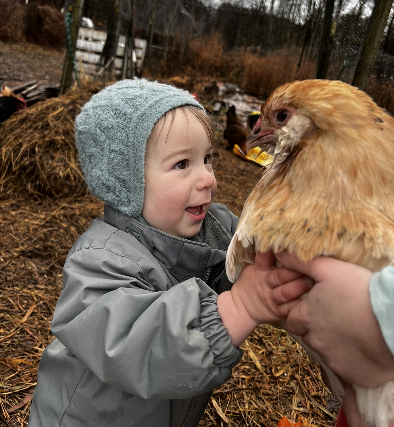What City Kids Learn on My Farm - by Larissa Phillips