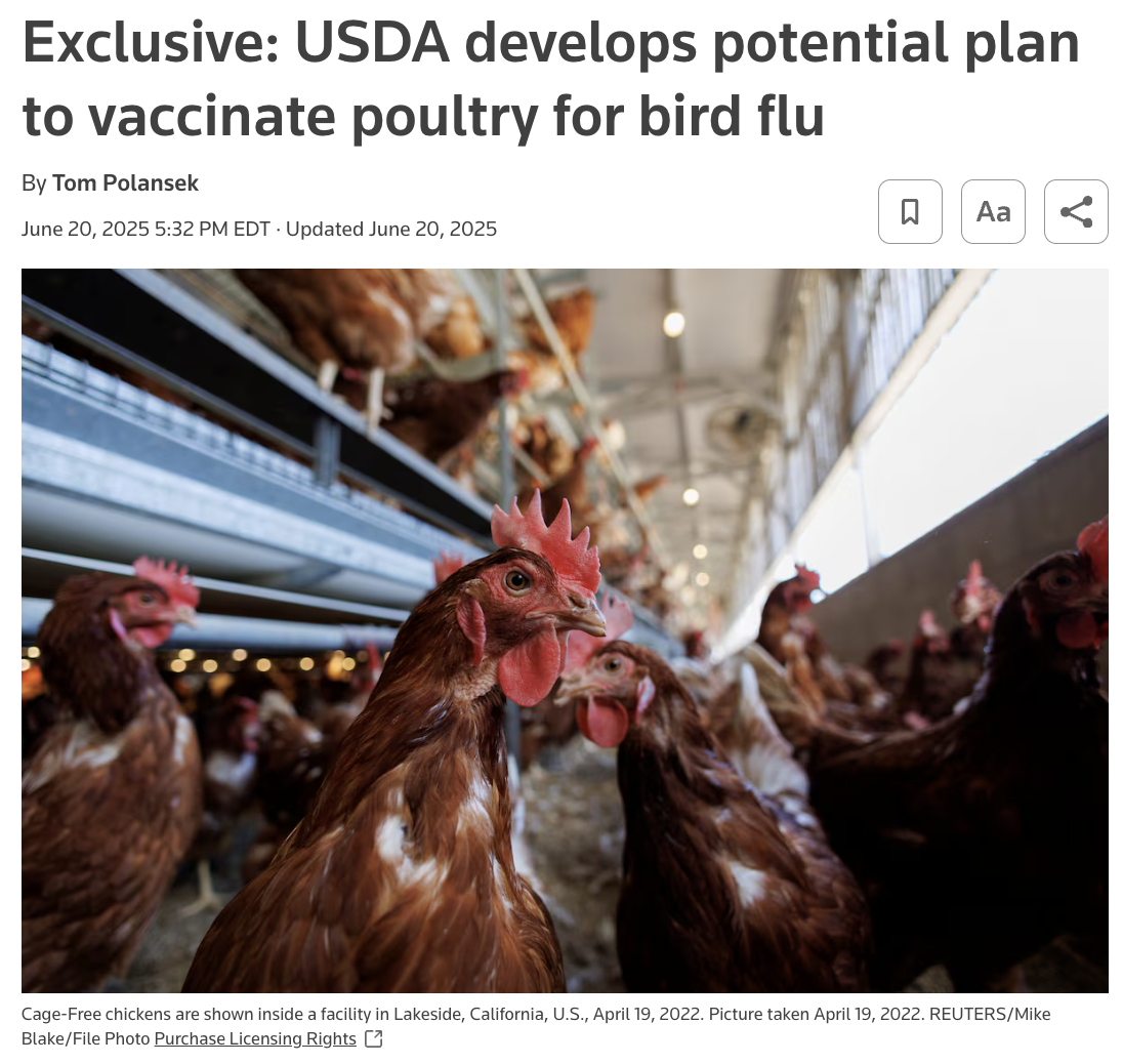 USDA Preparing to Mass Vaccinate Poultry Against Bird Flu — Ignoring ...
