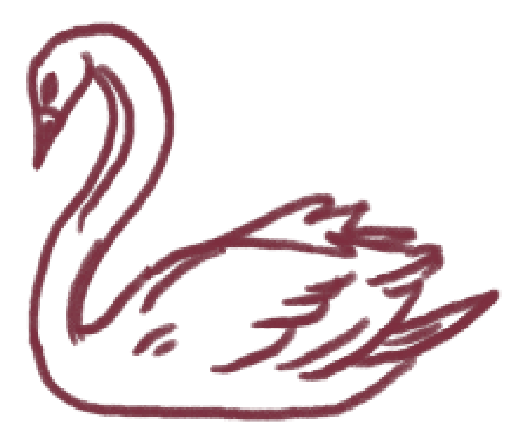 How to Write a Strong Beginning - by Caroline Beuley