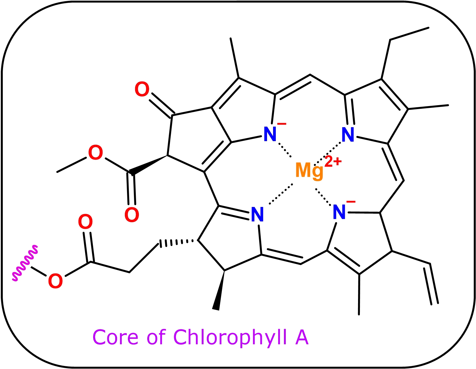 The Chemistry Behind Autumn’s Colors - by John Knight, PhD