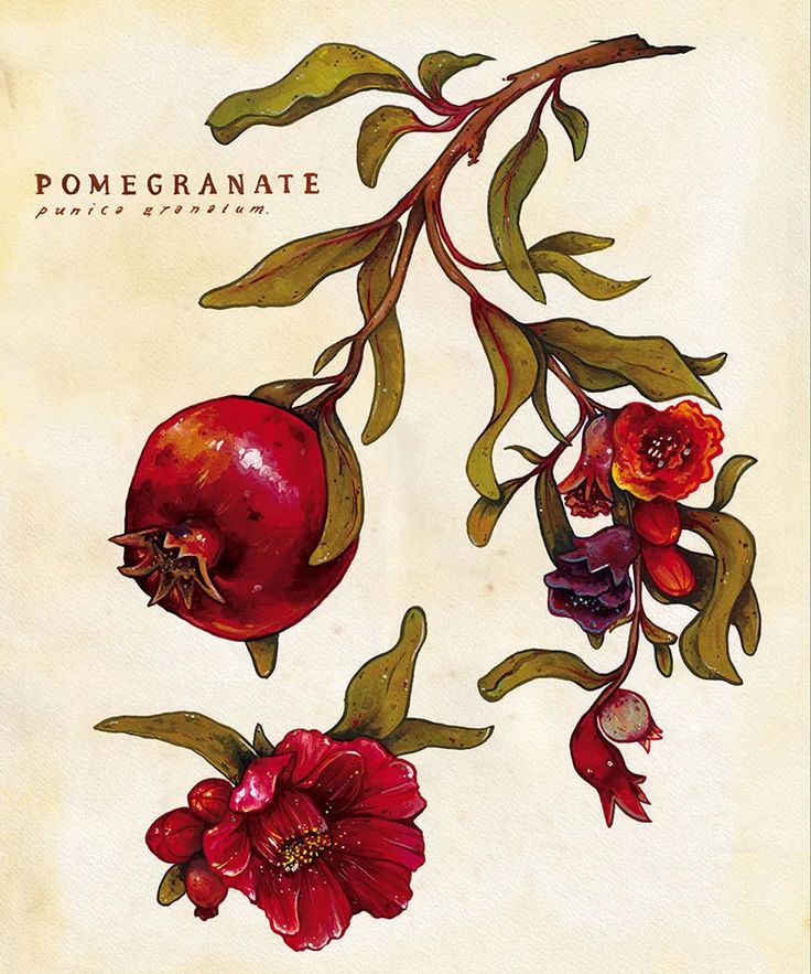 The symbolism of the pomegranate - by poet of the femme