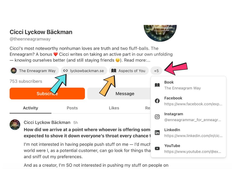 Understanding Substack - Solo Shannon