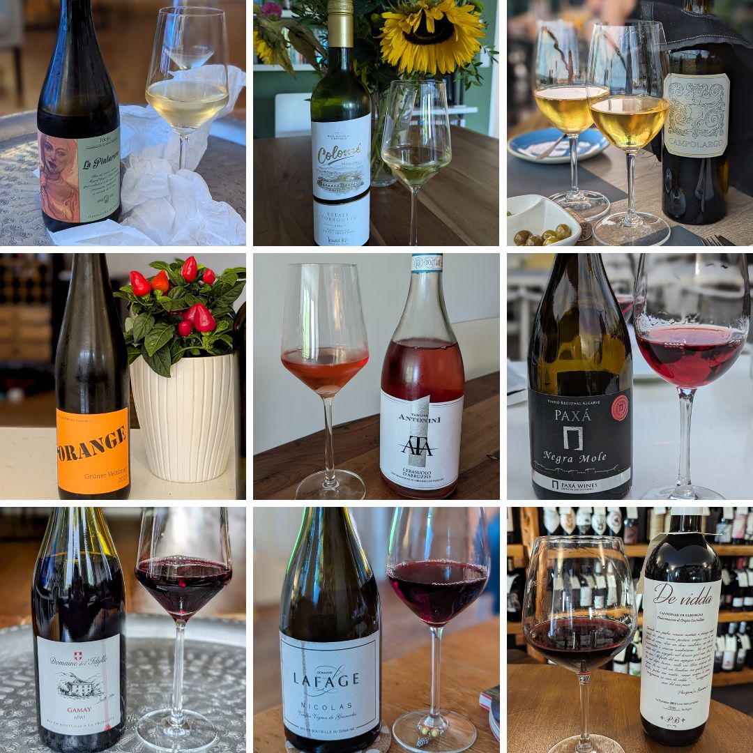 My Top 10 Wines of 2024 - by Vicky Hampton