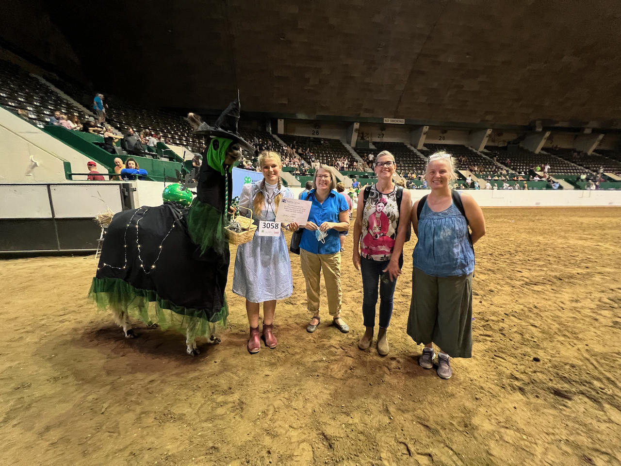Textile Center rewards creativity at the Minnesota State Fair Llama ...