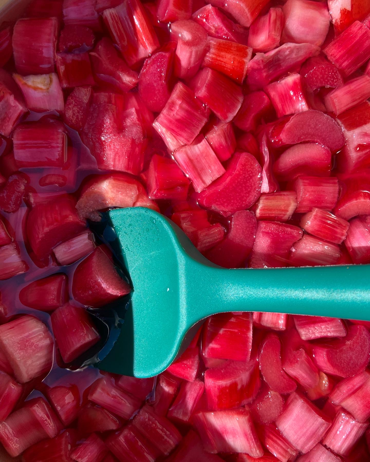 Kitchen Project #97: All about rhubarb