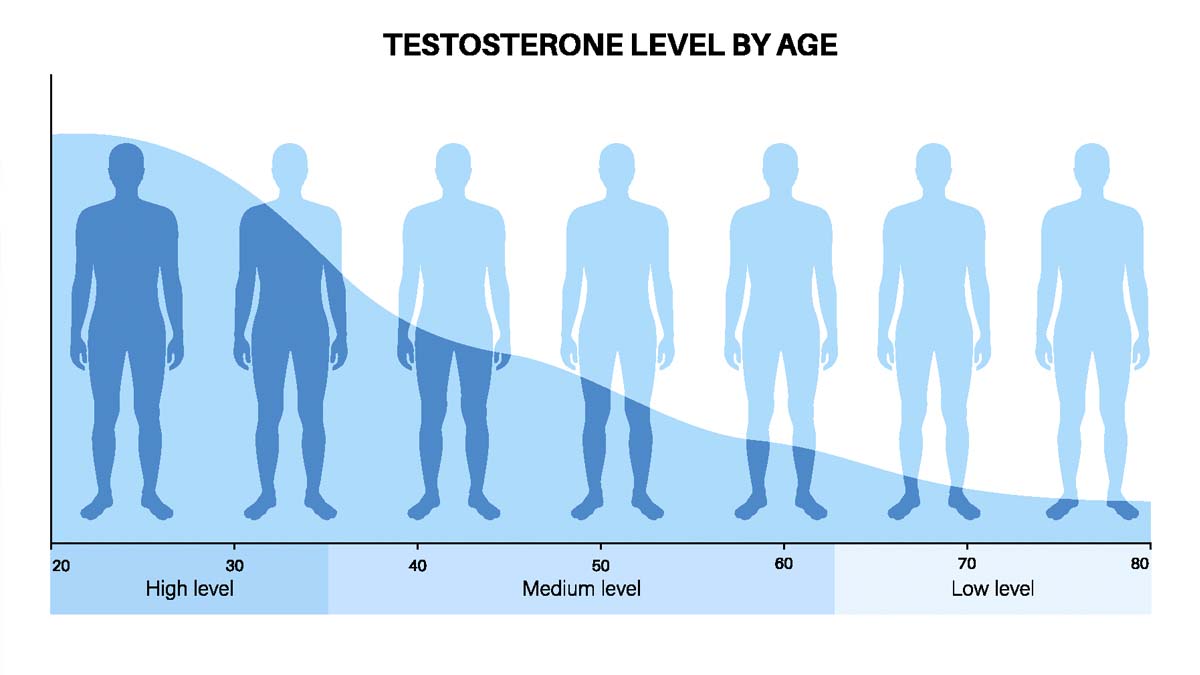 The Testosterone Decline in Men - by EGK - Reviv