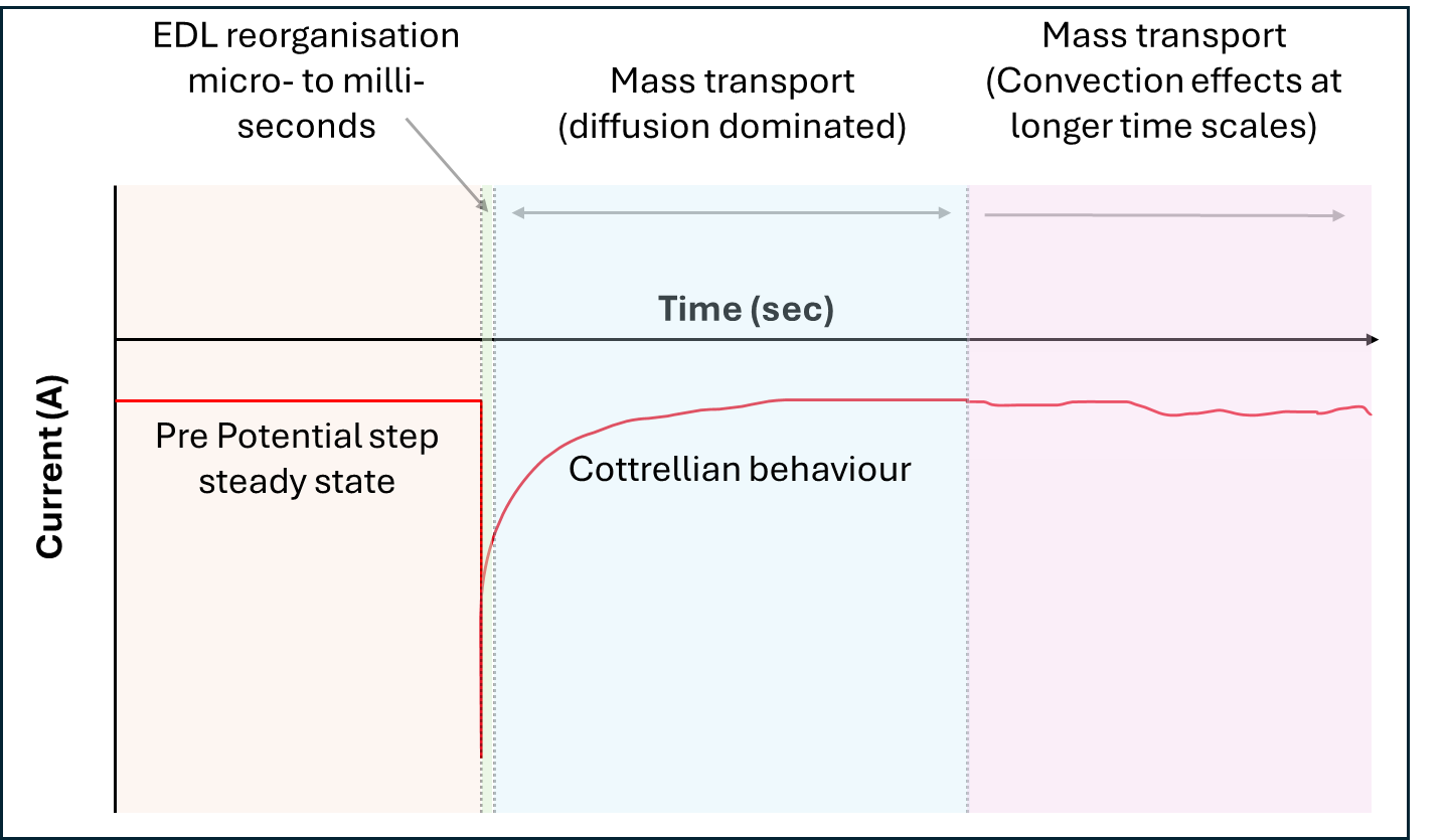 Understanding Chronoamperometric Responses