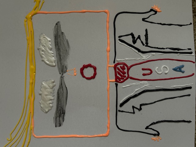 An Entire Wing of the Smithsonian Full of Your Perfect Portraits of ...