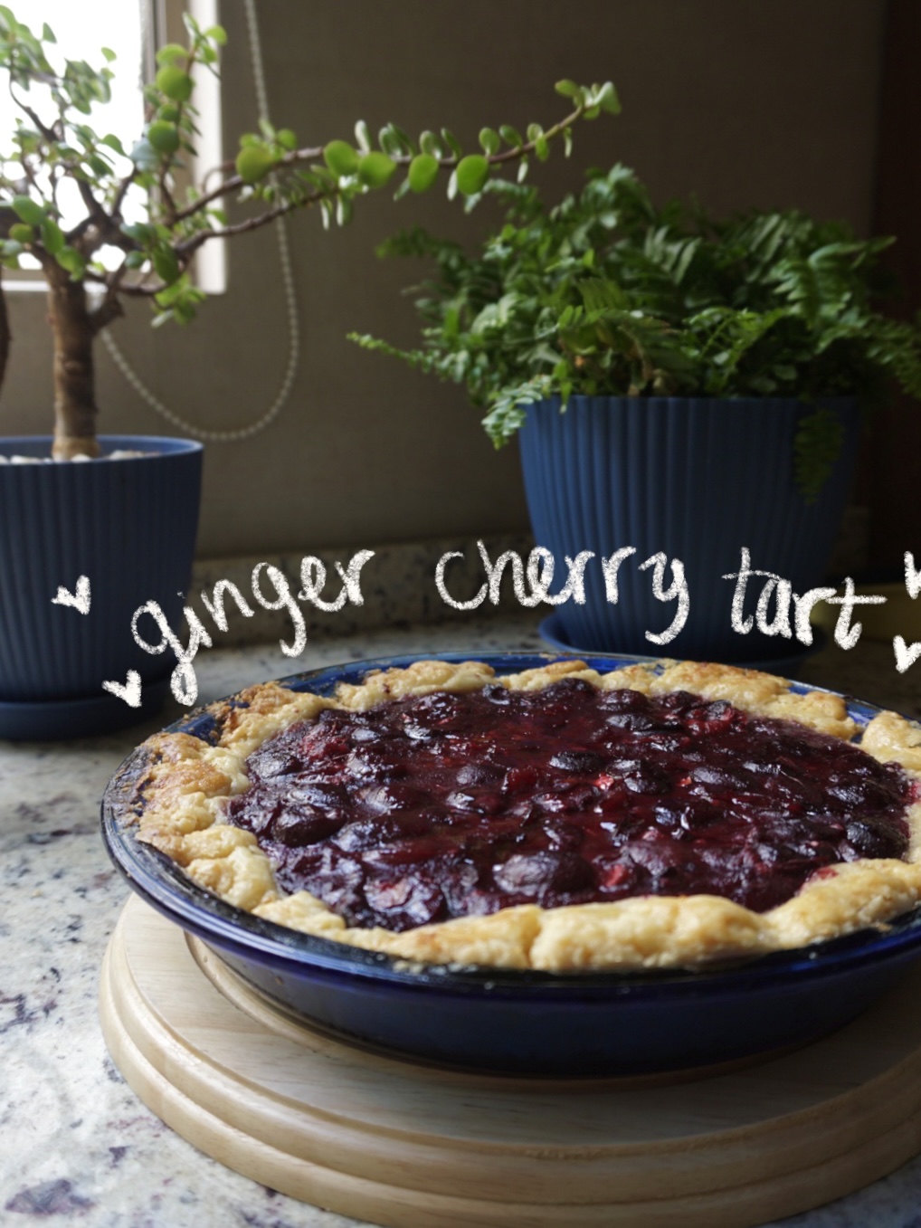 Ginger Cherry Tart - jo's library