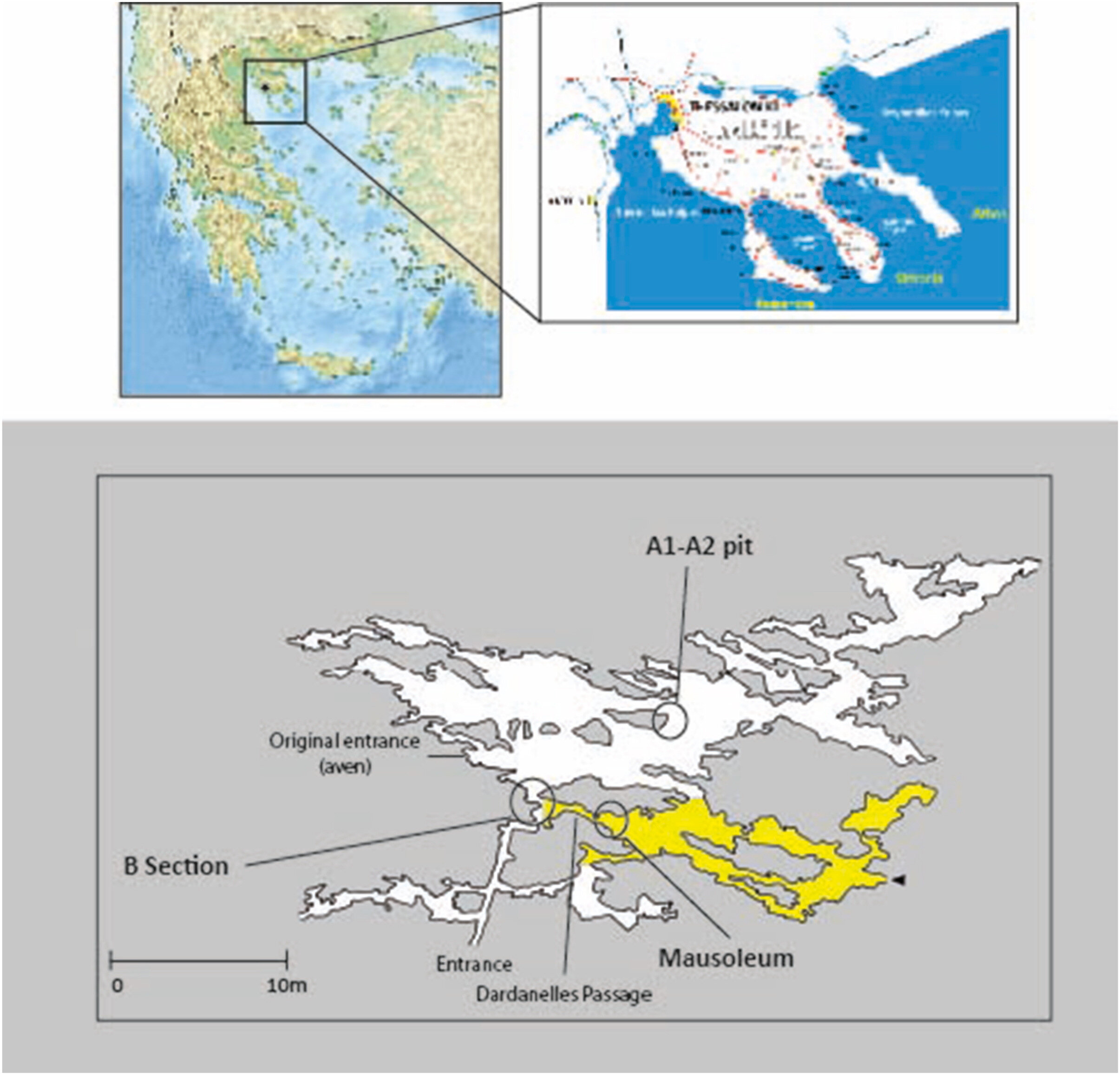The Petralona Skull and the Long Puzzle of Europe’s Early Humans