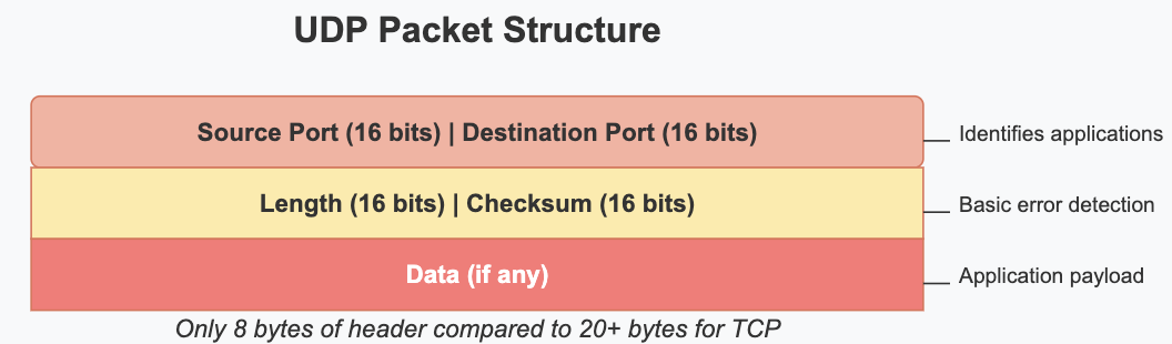 Understanding Network Protocols: HTTP, TCP/IP, UDP