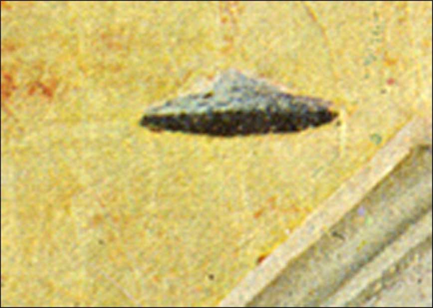 Italian Renaissance Paintings of UFO’s Hidden in Plain Sight